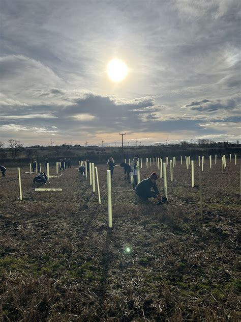 Regeneration Treeplanting Greennews Community Alex Standerwick