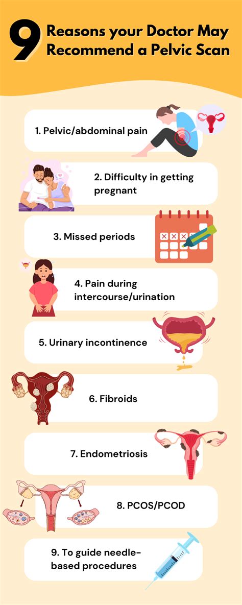 Pelvic Scan Price In Chennai Cost Timing And Procedure