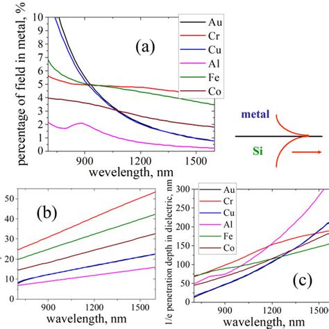 Surface Plasmon At A Metalsi Interface A Percentage Of Optical