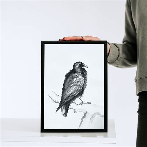 עורב ציור מקורי בצבעי מים אנה רדיס Anna Radis