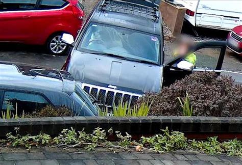Autofile News Pooch Crashes Jeep Into Car