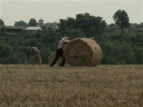 Lisa Belle Lo Schiavo