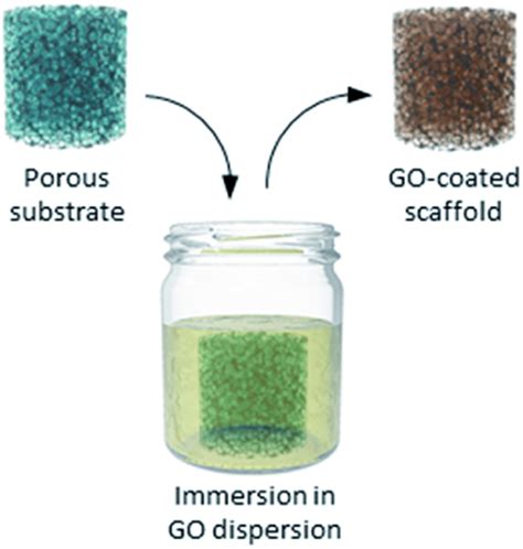 Schematic Illustration Of Coating A Polymeric Porous Substrate With Go