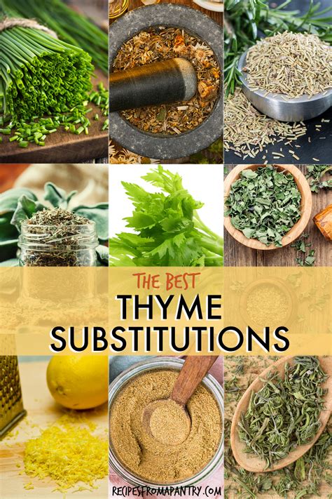 Thyme Replacement Discover Flavorful Alternatives For Culinary