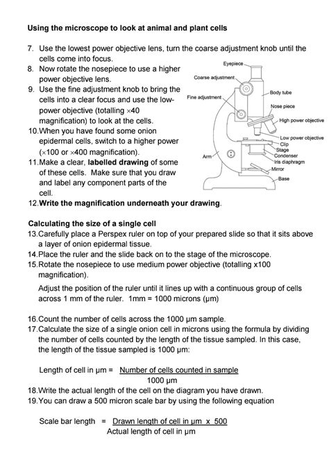 SOLUTION Microscope Practical Studypool SOLUTION Microscope Practical Studypool
