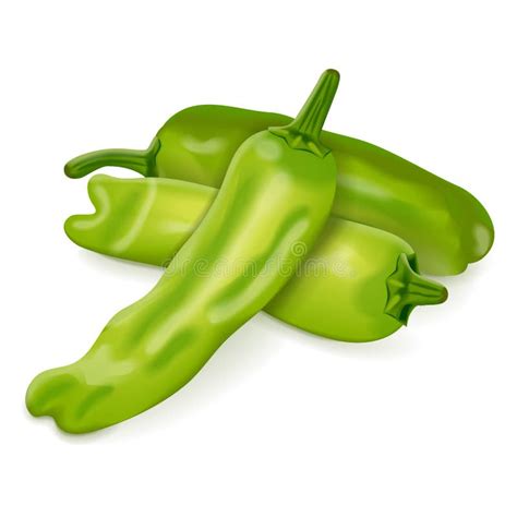 Group Of Green Patty Pan Squass Cartoon Style Stock Vector