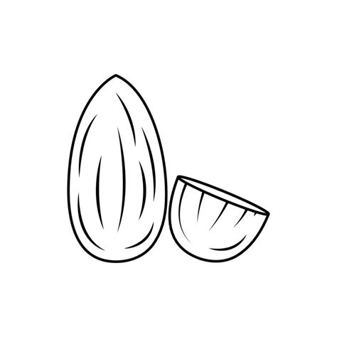 Nut Outline Vector Art Icons And Graphics For Free Download