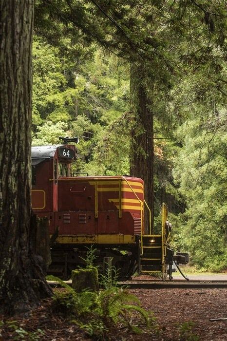 Skunk Train Tickets Pudding Creek Express Fort Bragg Ca