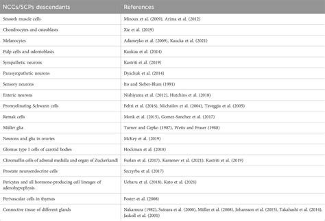 Neural Crest And Sons Role Of Neural Crest Cells And Schwann Cell Precursors In Development And