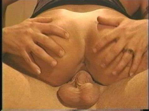 Porn Star Legends Nikki Sinn Adult Dvd Empire