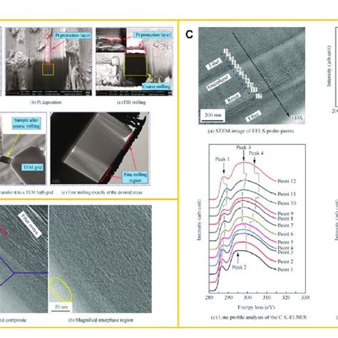 A Series Of Sem Images Visualizing The Sample Preparation Process By