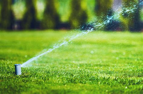 Франшиза Rongo — системы автоматического полива вложения от 5300