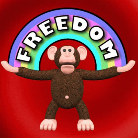 Freedom S