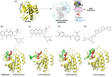 A A Schematic That Summarizes The Virtual Screening Workflow Done For