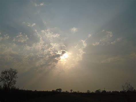 Attended Statistical Data Analysis Training Rookie Site