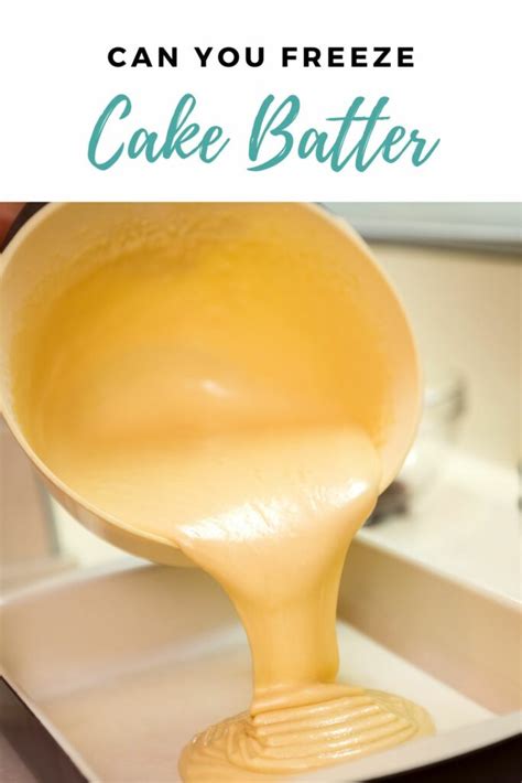 Can You Freeze Cake Batter To Use Later 4 Efficient Ways