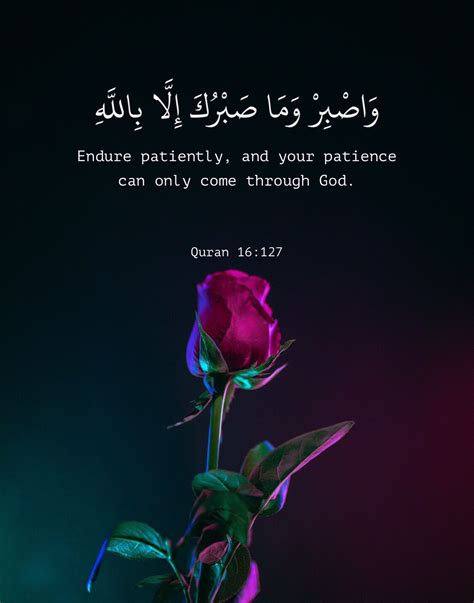 Quran Patience Quotes 40 Sabr Quotes In English From Islam