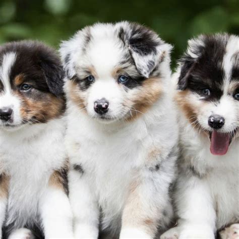 Talkie Profile Asher And Derek Talkie Ai