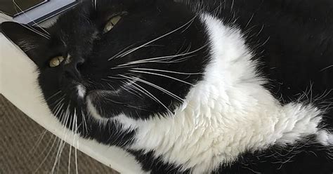 Look At This Smug Guy Album On Imgur