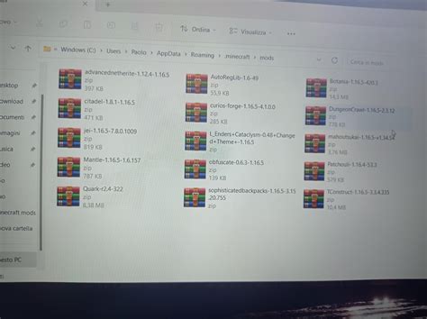 Question R Minecraftmod