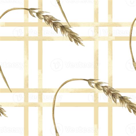 Wheat Dry Grass Illustrations On Plaid Seamless Patternhand Drawn