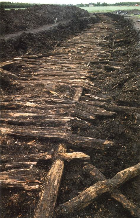 A 4 573 Year Old Neolithic Wooden Peat Road Near Nieuw Dordrecht In The Netherlands Excavated