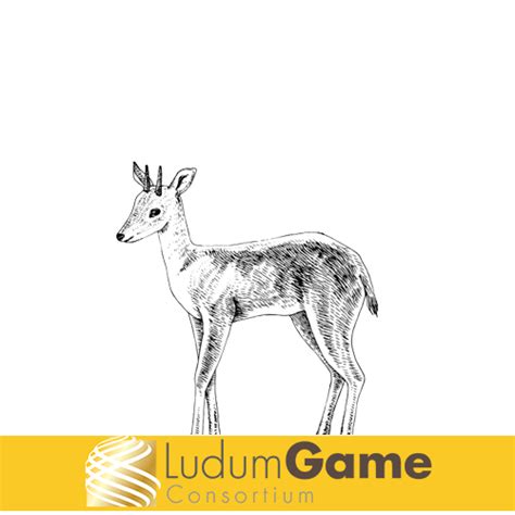 Duiker Ludum Game