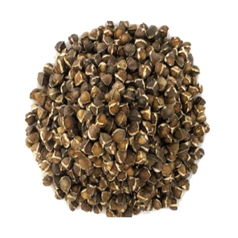 Moringa Seed Keronal Trading Hub