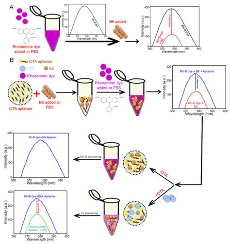 Multifunctional Smart Znse Nanostructure Based Fluorescent Aptasensor