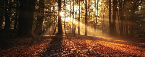 Inspirational Quotes About Adaptability Goodwin University