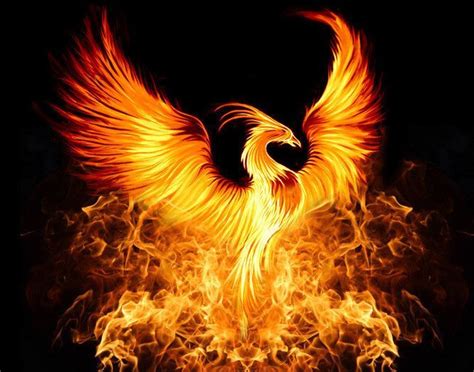 Phoenix Wallpaper Phoenix Images Phoenix Artwork