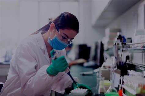 Senolytic Activity Tests Tibd Co Ltd