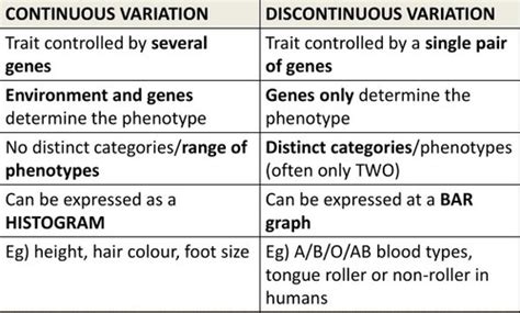Evolution Flashcards Quizlet