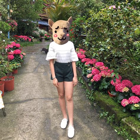 閒聊 閃耀光芒的美腿 看板 Sex 批踢踢實業坊