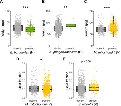 Associations Of Weight Or Lipid Fraction And The Presence Or Absence Of