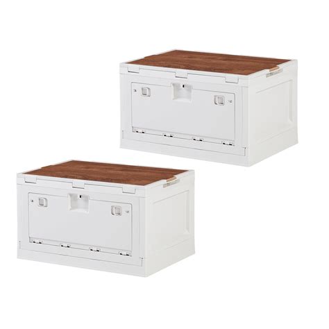 Rebrilliant Aarn 2 Pack Plastic Collapsible Storage Bins With Lid