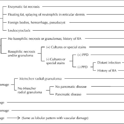 Infective Panniculitis A Mixed Lobular And Septal Panniculitis With