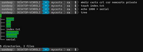 Creating Self Signed Certificates Using Openssl Tryst