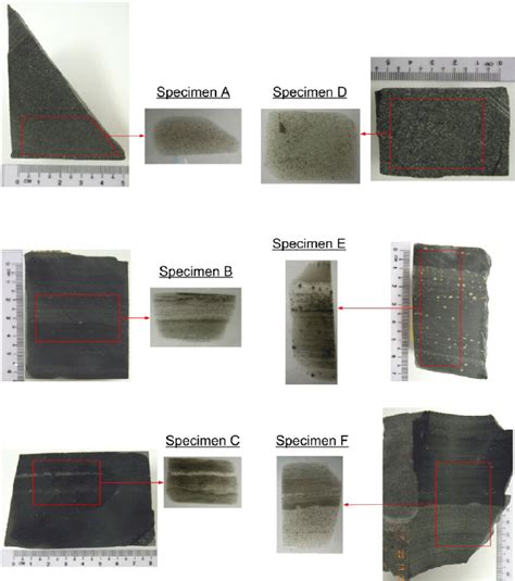 Photographs Of The Six Examined Rock Specimens Alongside With The