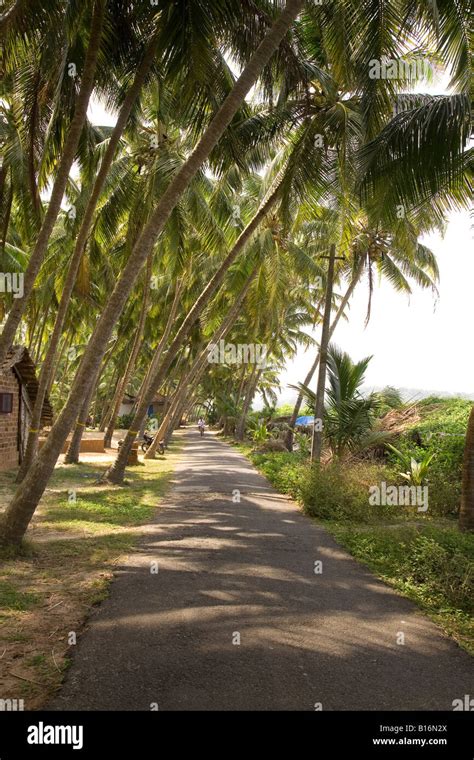 The Narrow Road That Leads To Muzhappilangad Drive In Beach Near To Thalassery In Kerala Stock