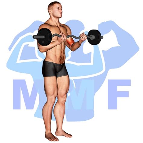 14 Upper Body Ez Bar Exercises You Should Be Doing