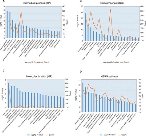 Identification Of Key Genes And Pathways Using Bioinformatics Analysis