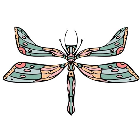 Colorful Dragonfly Drawing