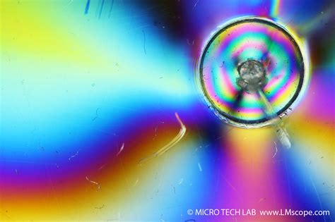 Ruler Under The Microscope Magnification 10x