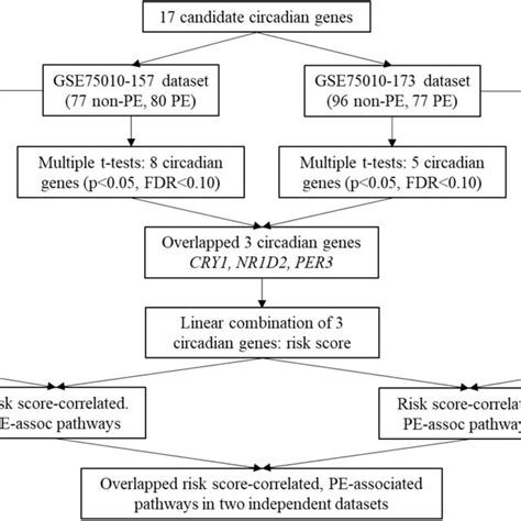 Bioinformatics Pipeline To Analyze Circadian Genes Correlated Download Scientific Diagram