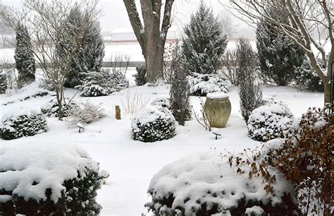 How To Make Your Garden Look Great In Winter Buffalo
