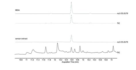 Total Ion Chromatograms Tic And Extracted Ion Chromatograms Of Mz