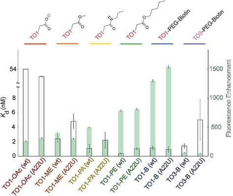 Figure 1 From Crystal Structures Of The Mango Ii Rna Aptamer Reveal