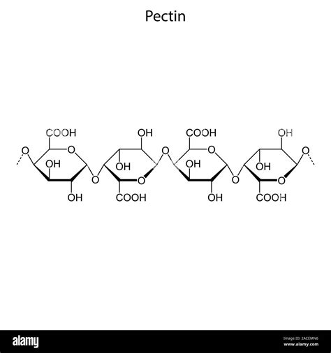Pectin Structure