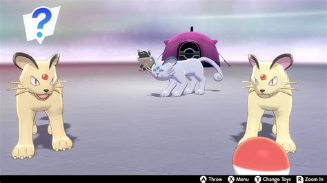 What Does A Shiny Persian Look Like At Liam Tindal Blog